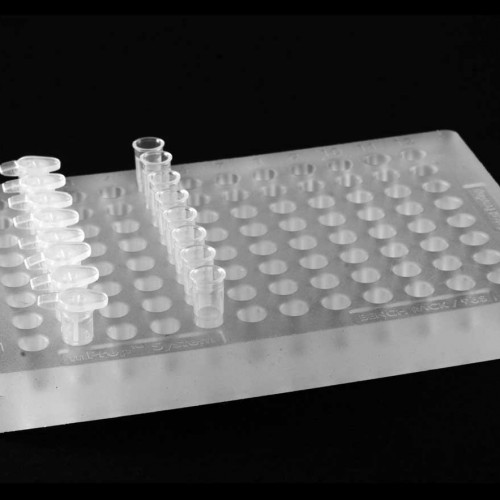 Microscopy Innovations | Scanning electron microscopy (SEM) and 3D ... Microscopy Innovations | Scanning electron microscopy (SEM) and 3D ...