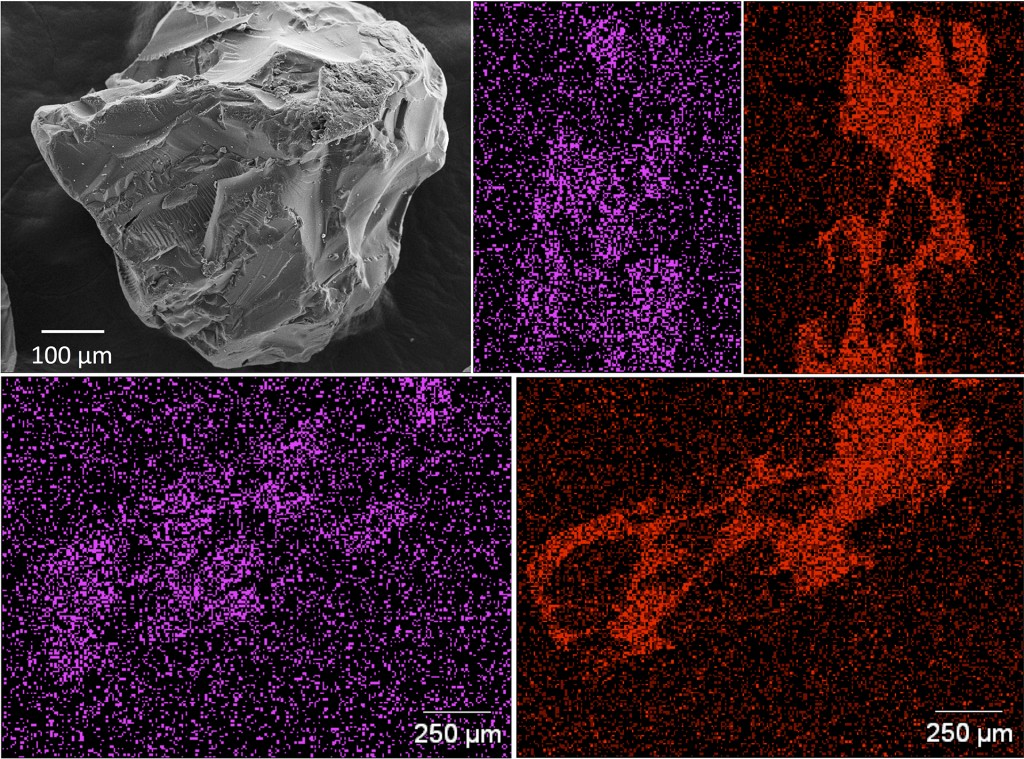 Microscopy Innovations | Scanning electron microscopy (SEM) and 3D ...