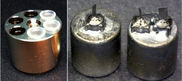 Microscopy Innovations | Biological tissues – fix and critical point ...